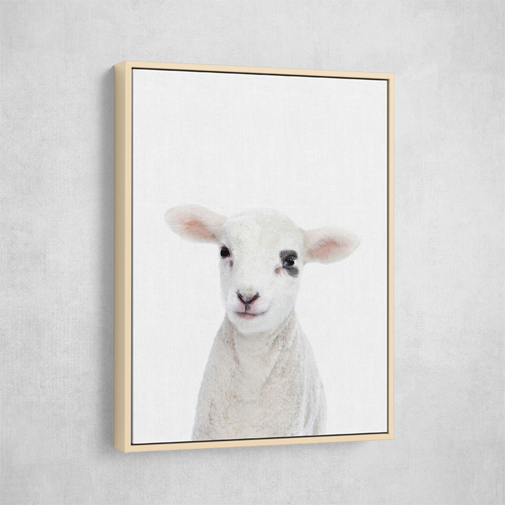 Baby Lamb Wall Art