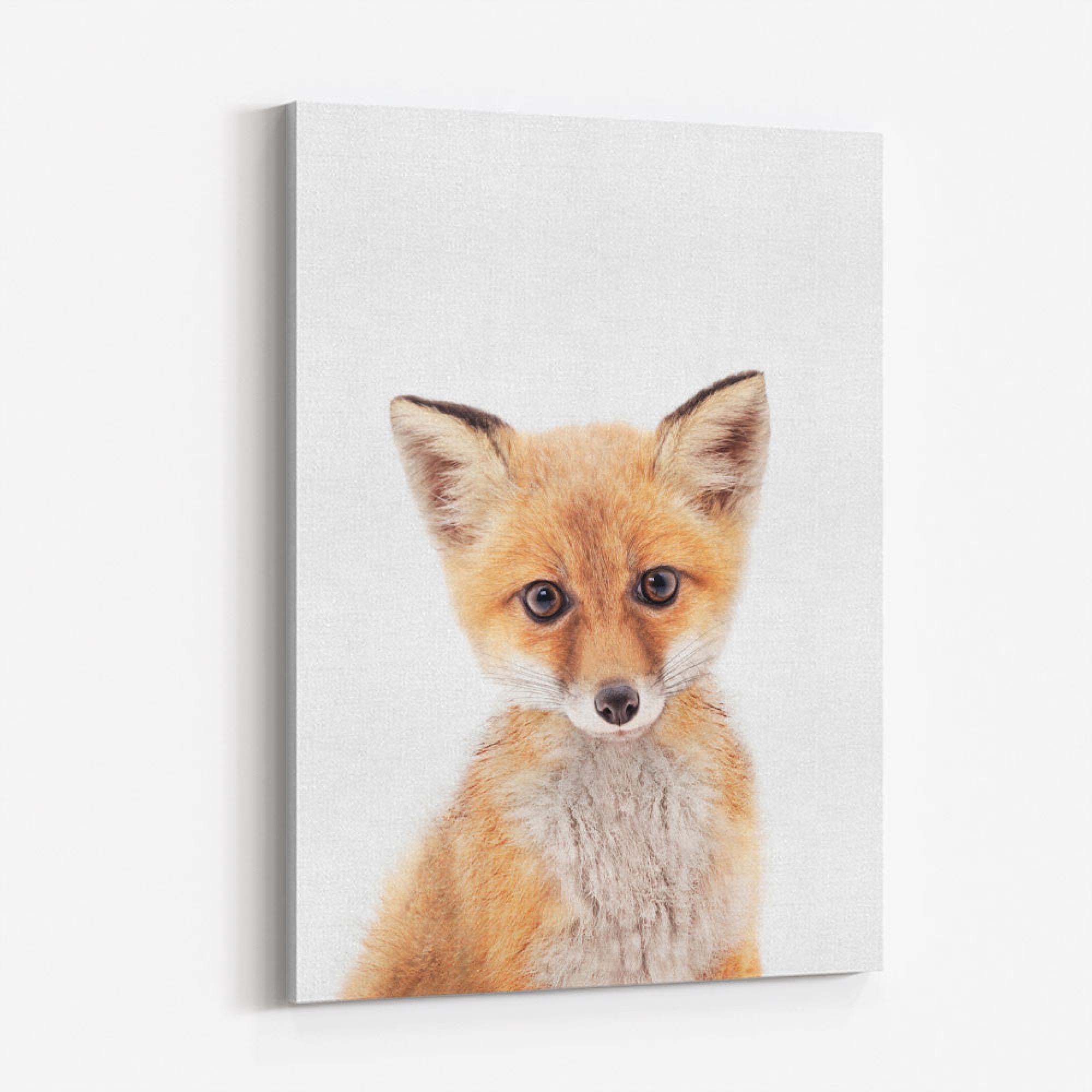 Baby Fox Wall Art