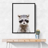 Baby Racoon Wall Art