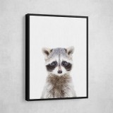 Baby Racoon Wall Art