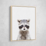Baby Racoon Wall Art