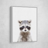 Baby Racoon Wall Art