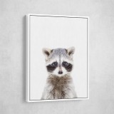 Baby Racoon Wall Art
