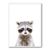 Baby Racoon Wall Art