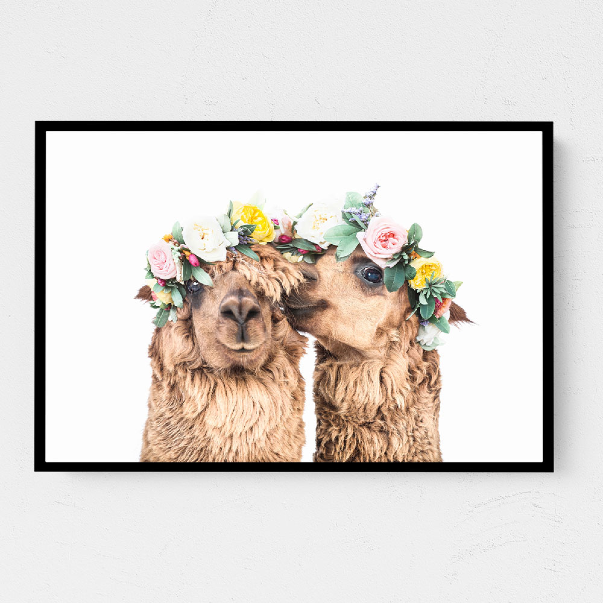 Boho Alpacas Wall Art