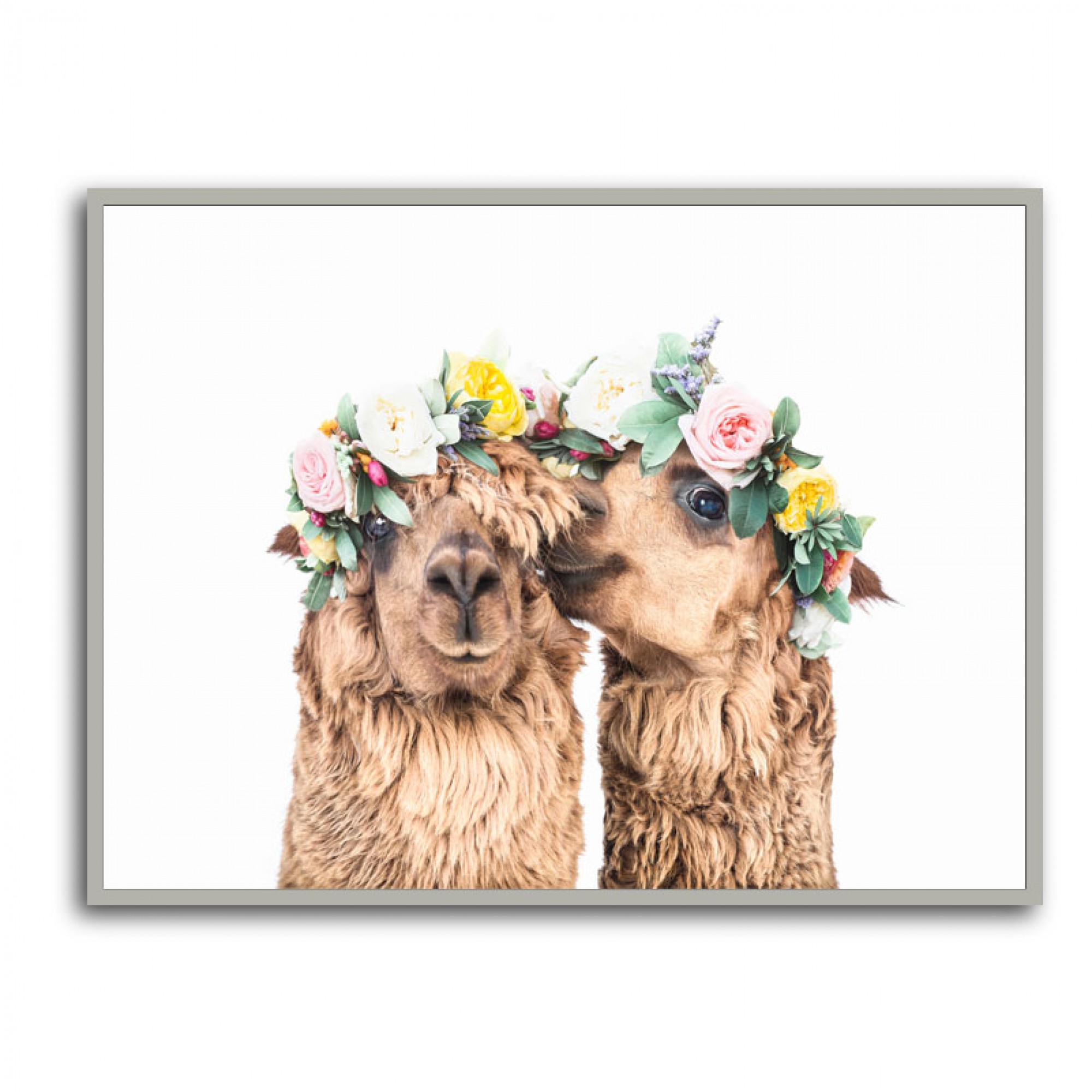 Boho Alpacas Wall Art