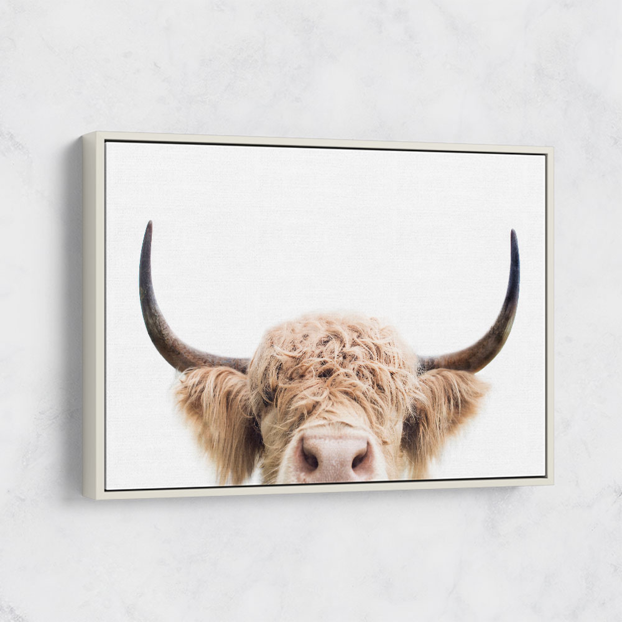 Peeking Cow Wall Art