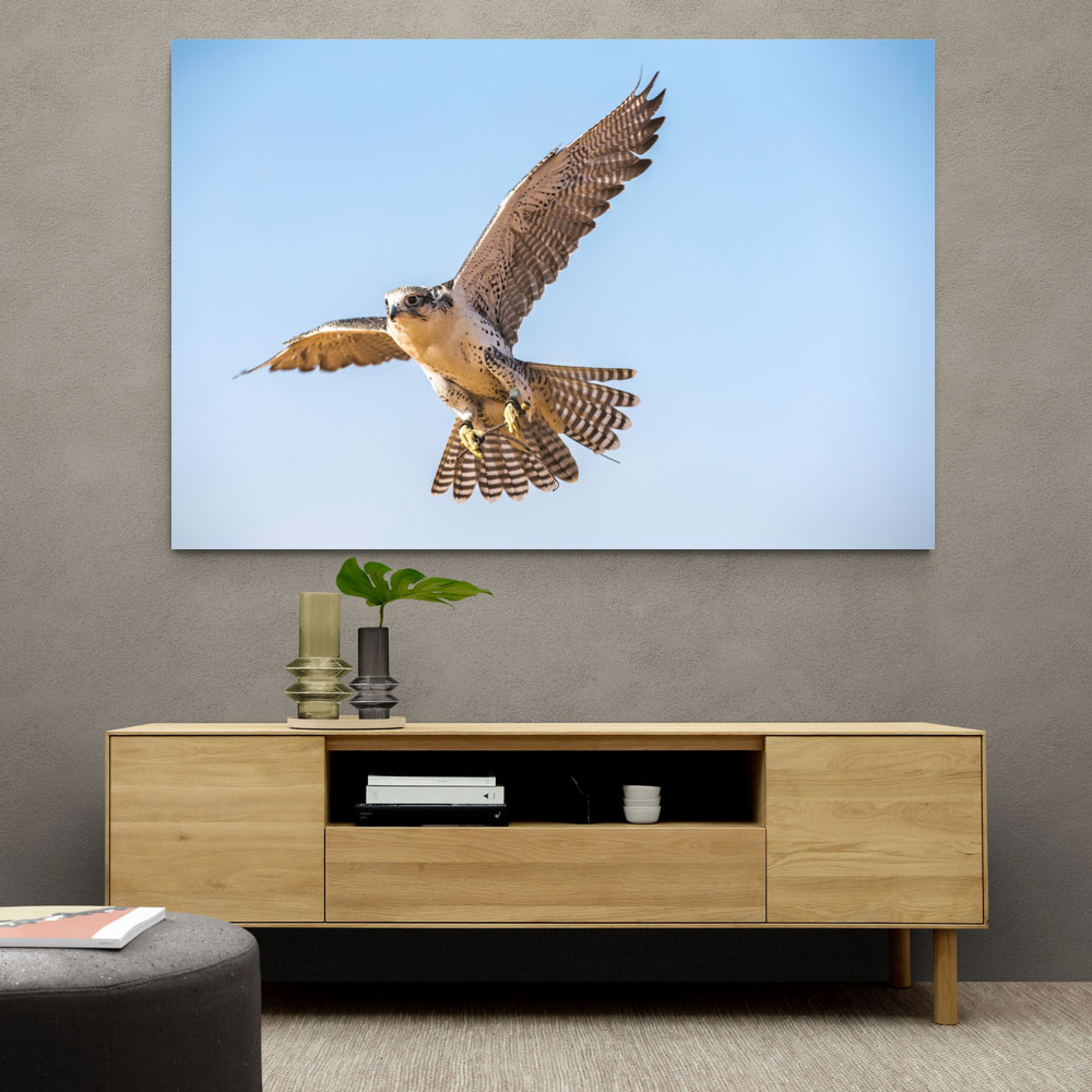Falcon In The Sky Wall Art