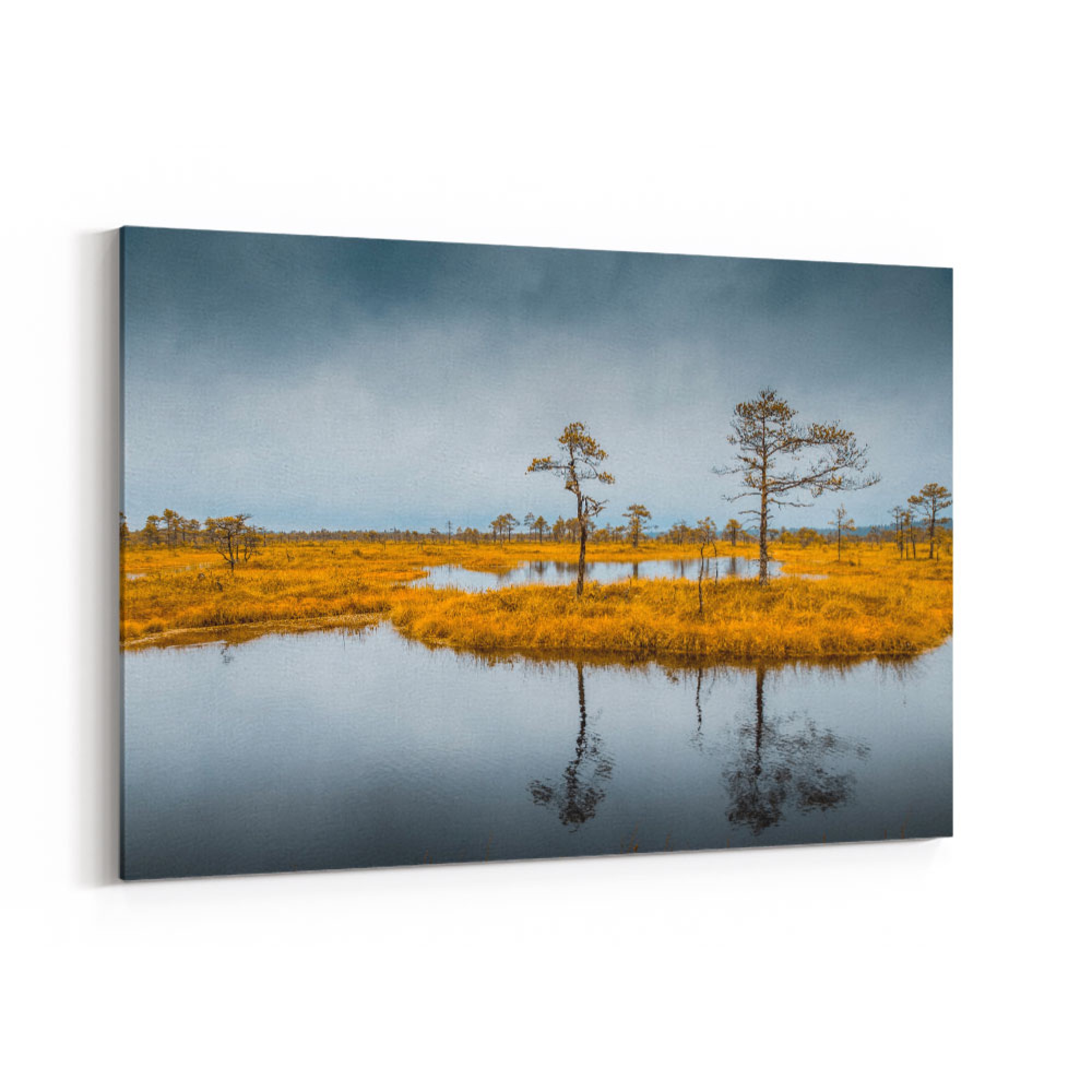 Stunted Growth Wall Art