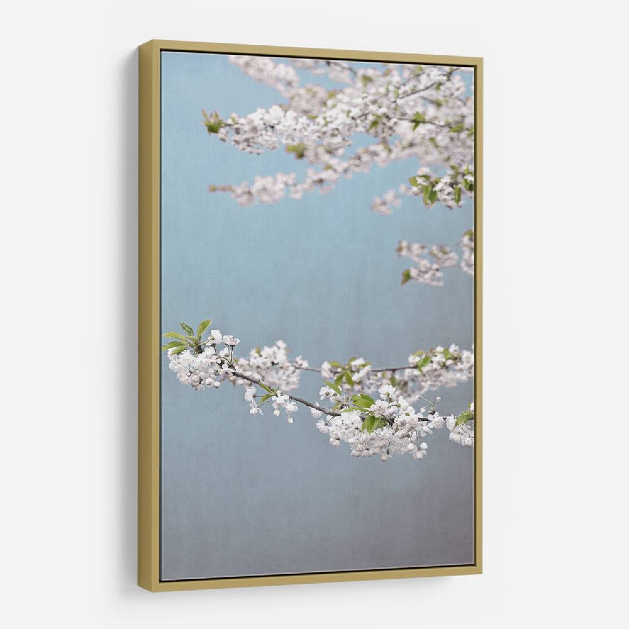 Colorful Spring 14 Wall Art