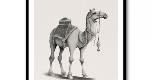 Camels Wall Art Painting | Camel Themed Wall Art - Artworks.ae