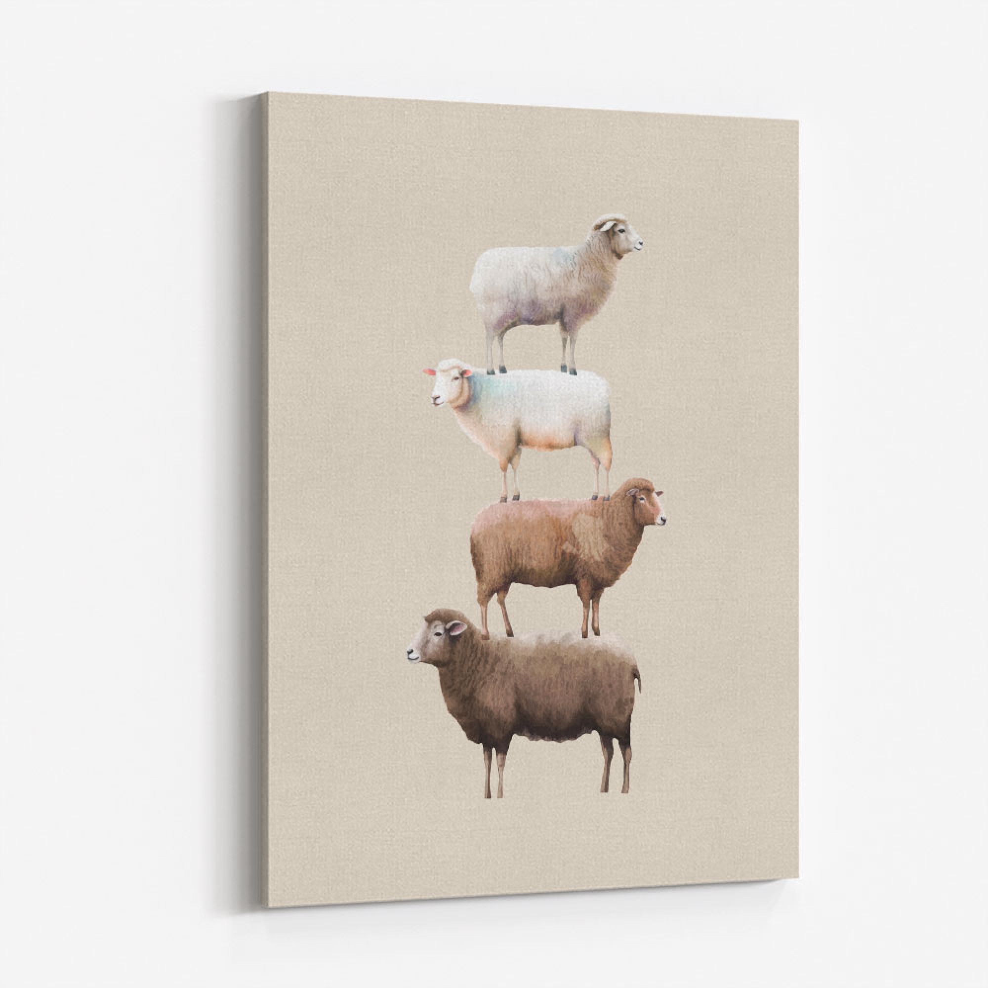 Sheeps Wall Art