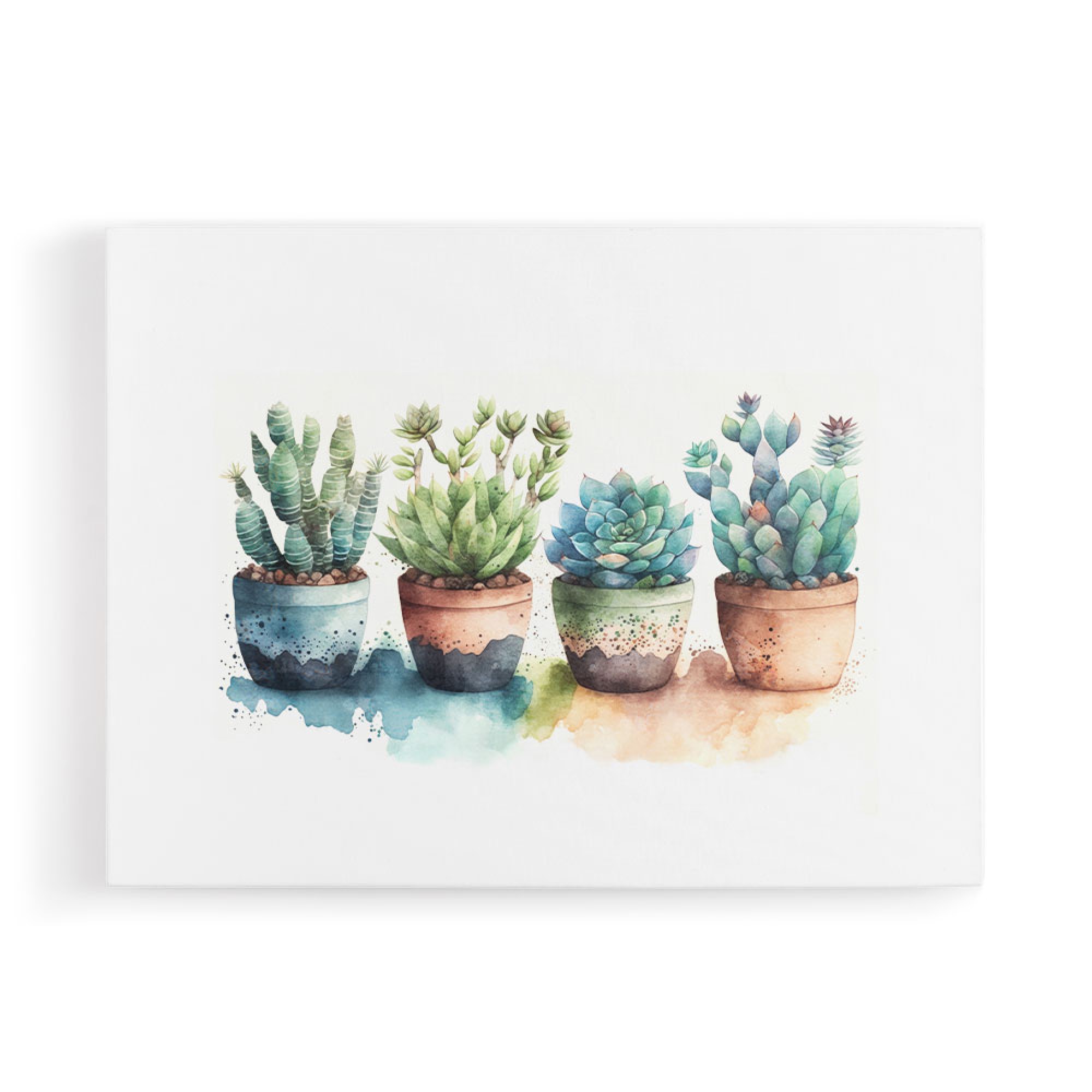 Colorful Succulents Wall Art