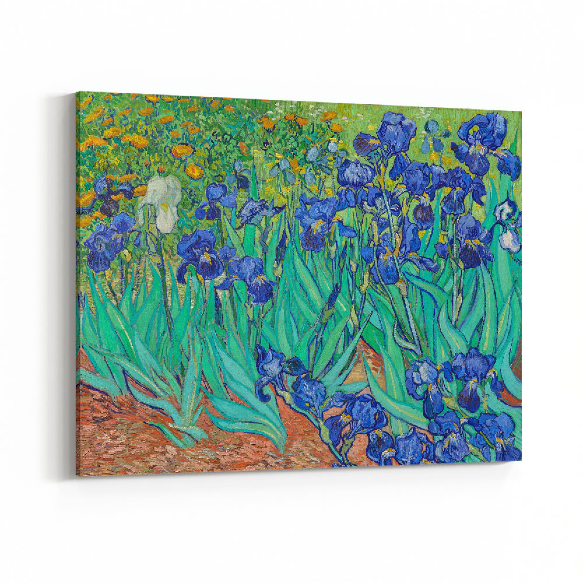 Irises (1889) by Vincent Van Gogh Wall Art
