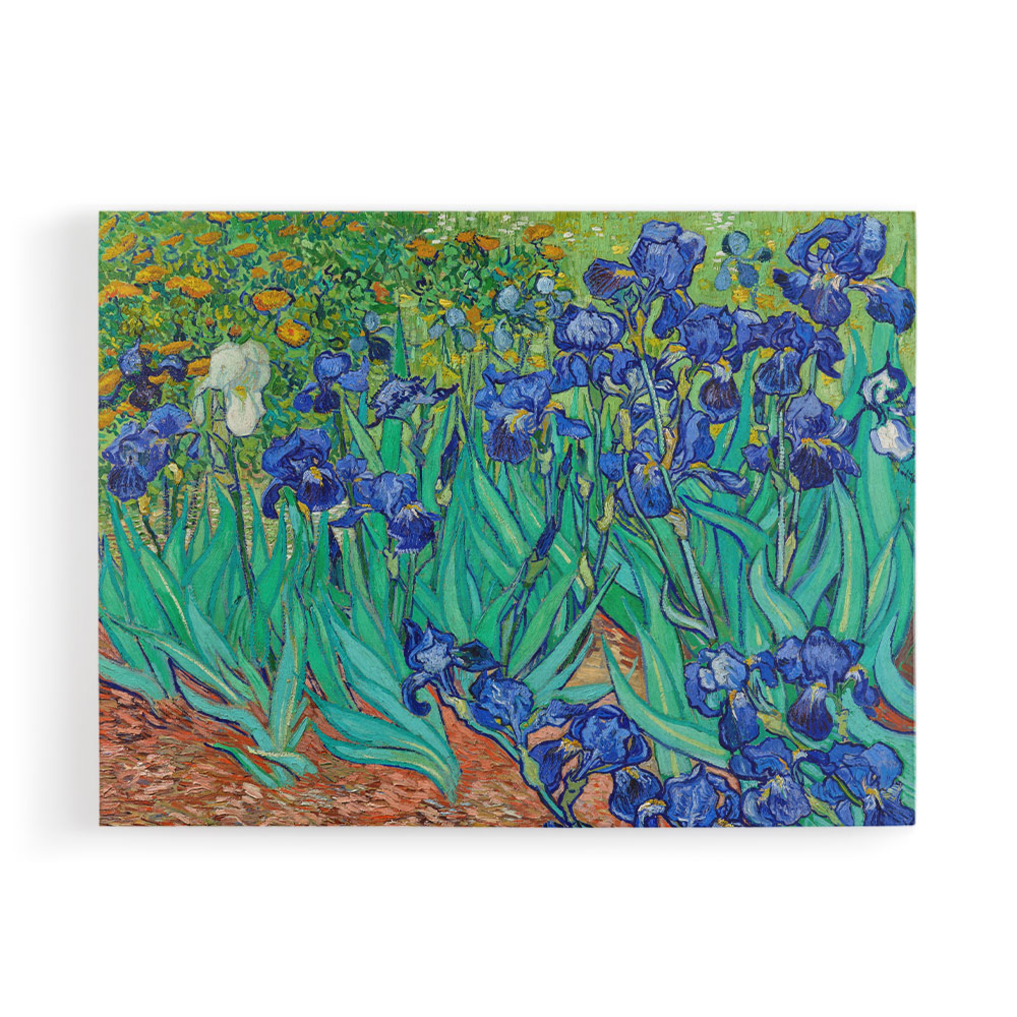Irises (1889) by Vincent Van Gogh Wall Art