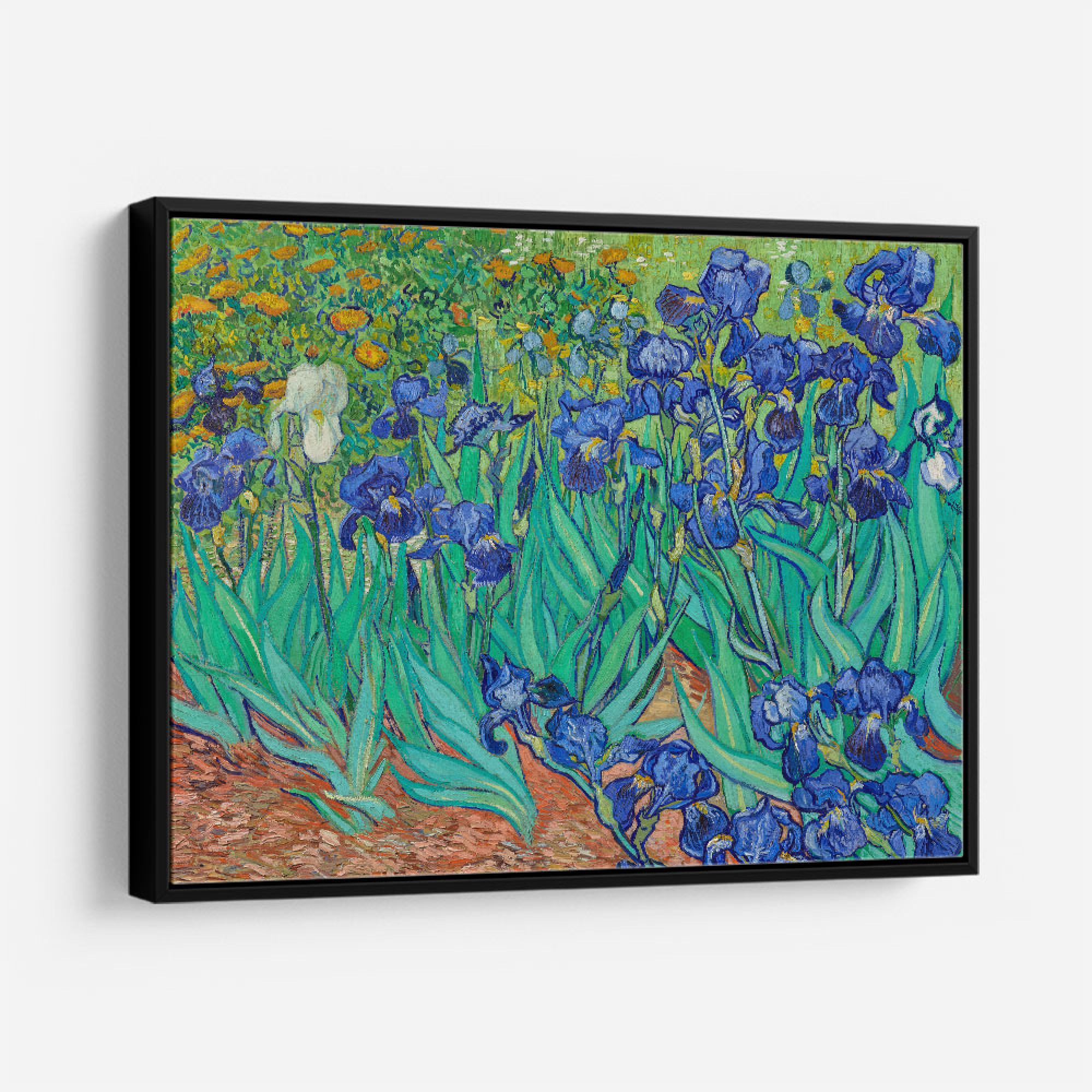 Irises (1889) by Vincent Van Gogh Wall Art