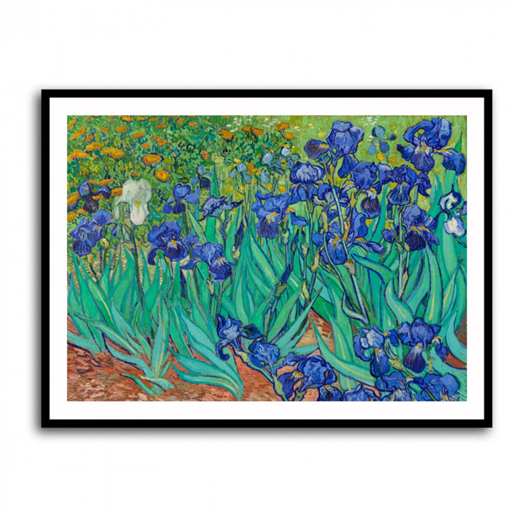 Irises (1889) by Vincent Van Gogh Wall Art