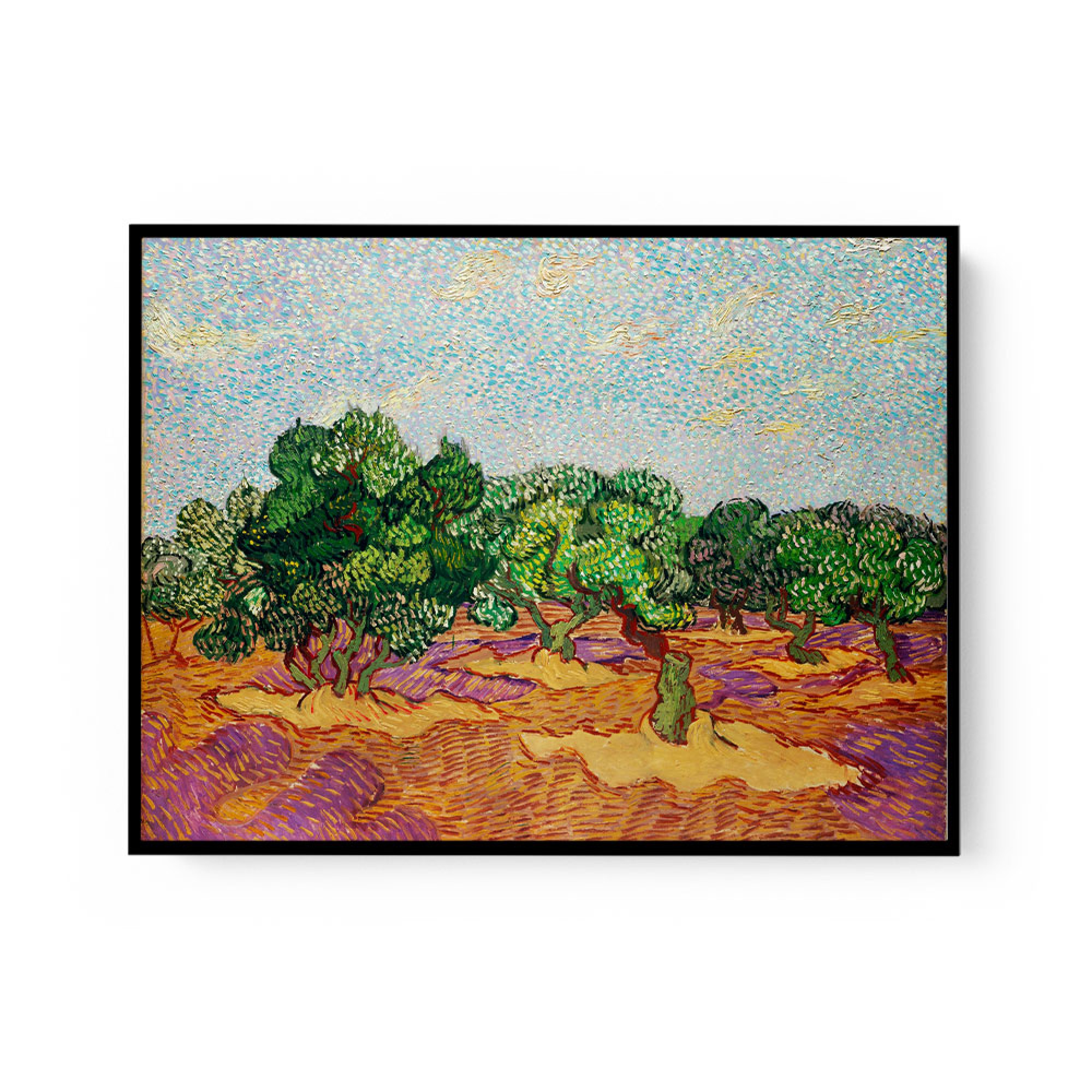 Olive Trees (1889) by Vincent Van Gogh Wall Art