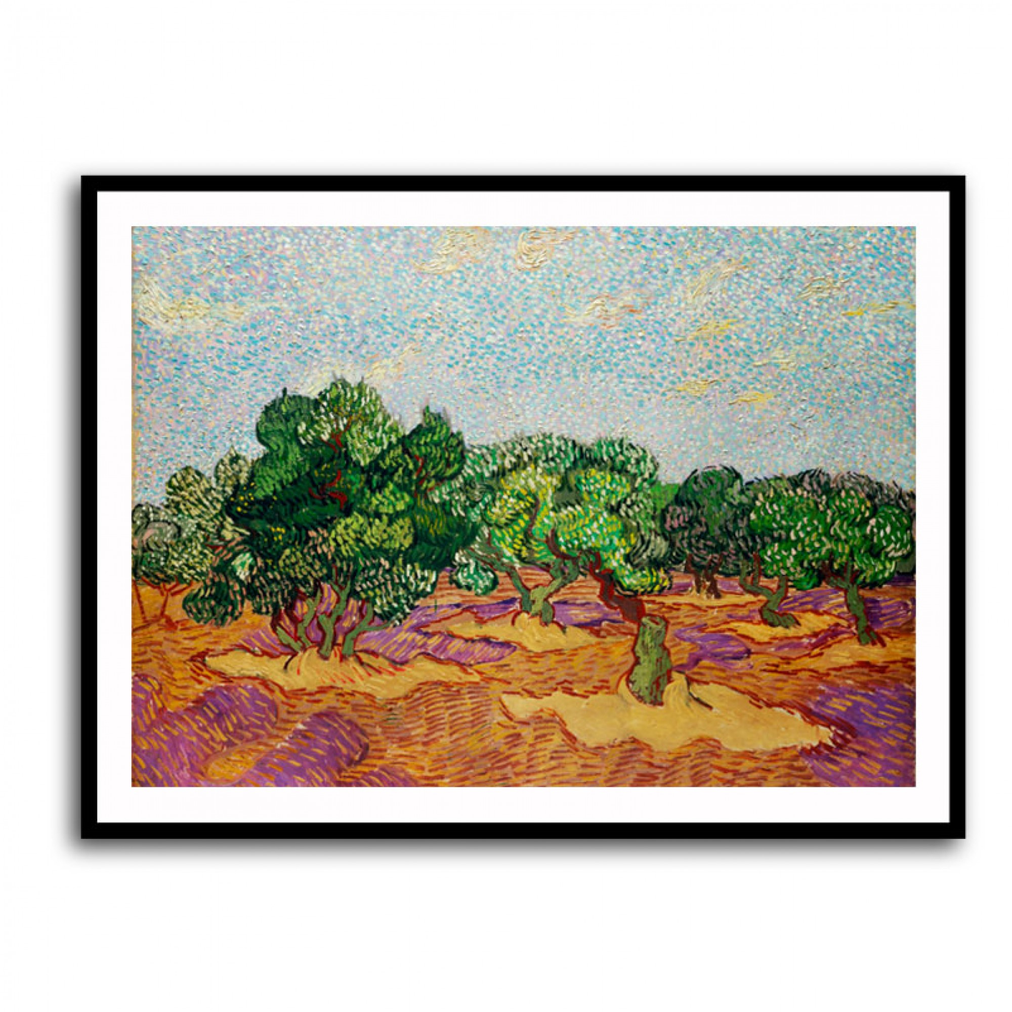 Olive Trees (1889) by Vincent Van Gogh Wall Art