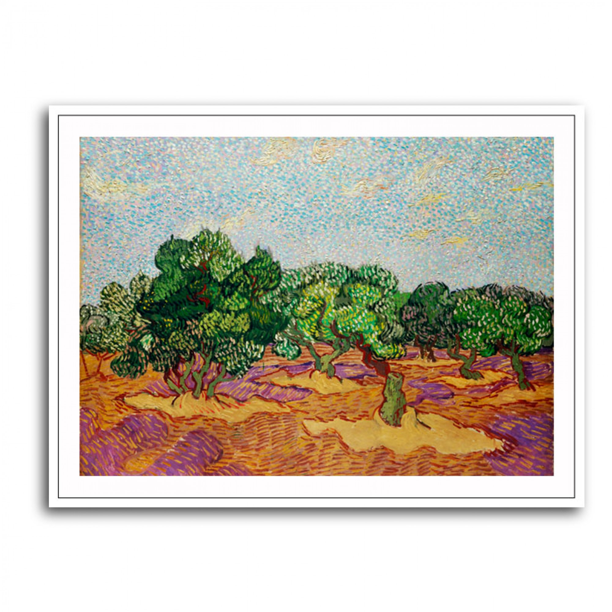 Olive Trees (1889) by Vincent Van Gogh Wall Art