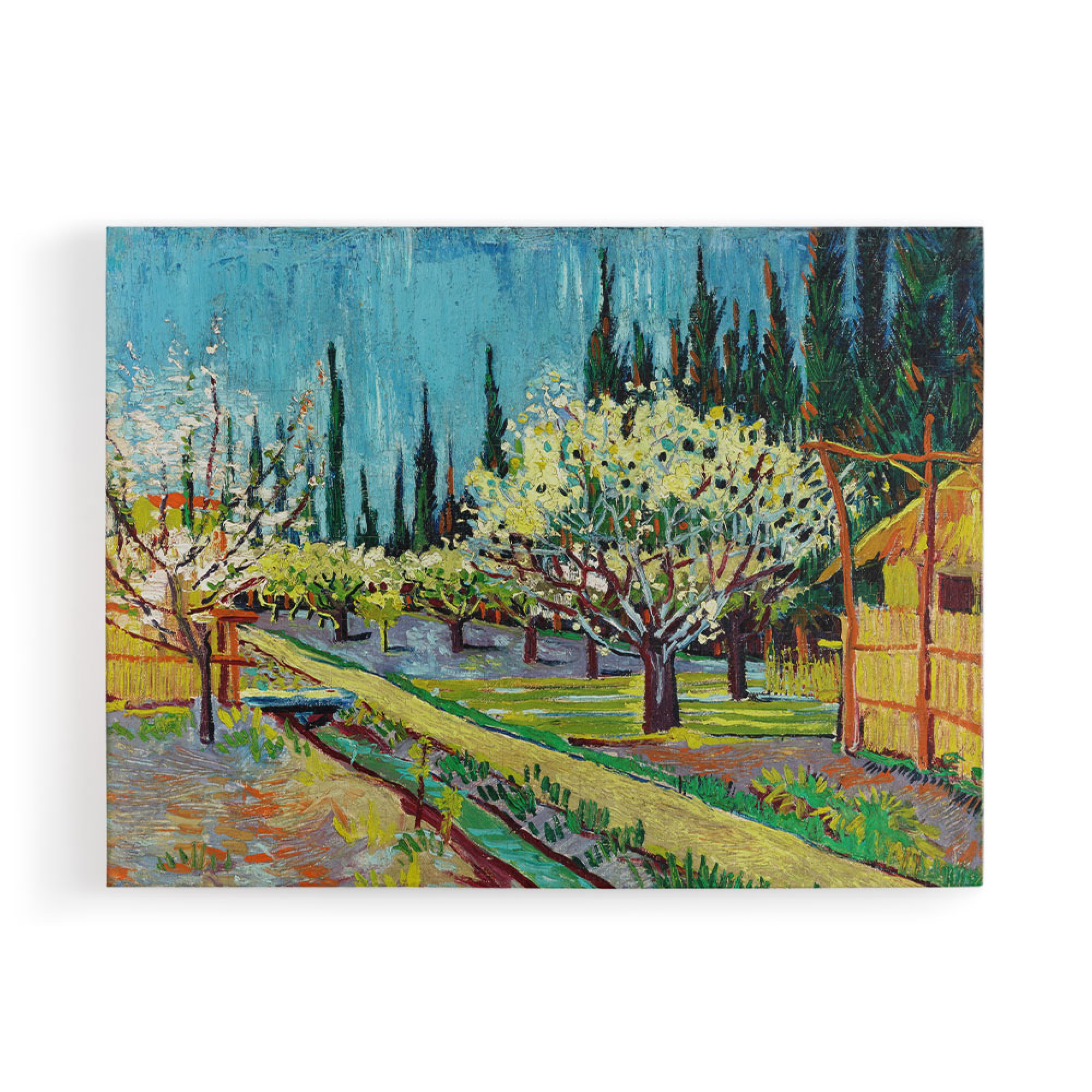 Orchard Bordered by Cypresses (1888) by Vincent Van Gogh Wall Art