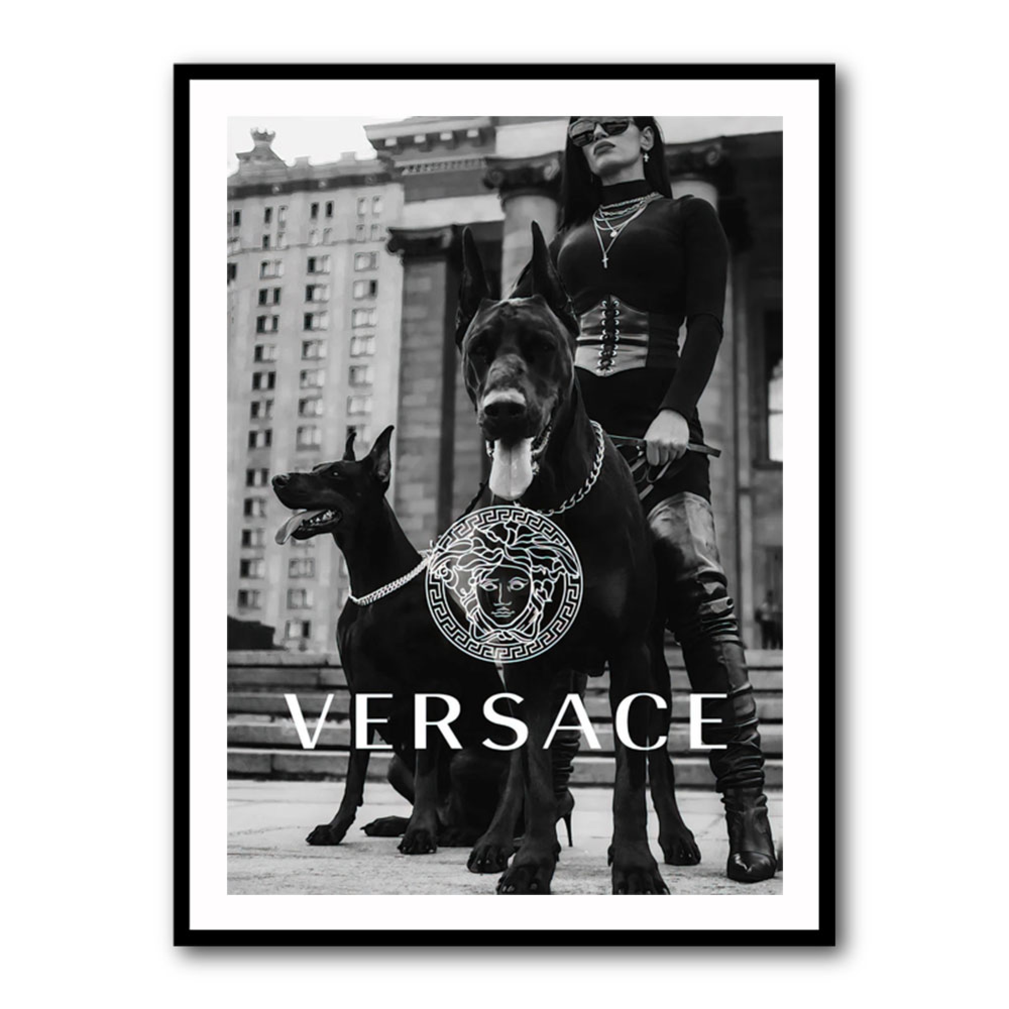 Versace Doberman's Wall Art