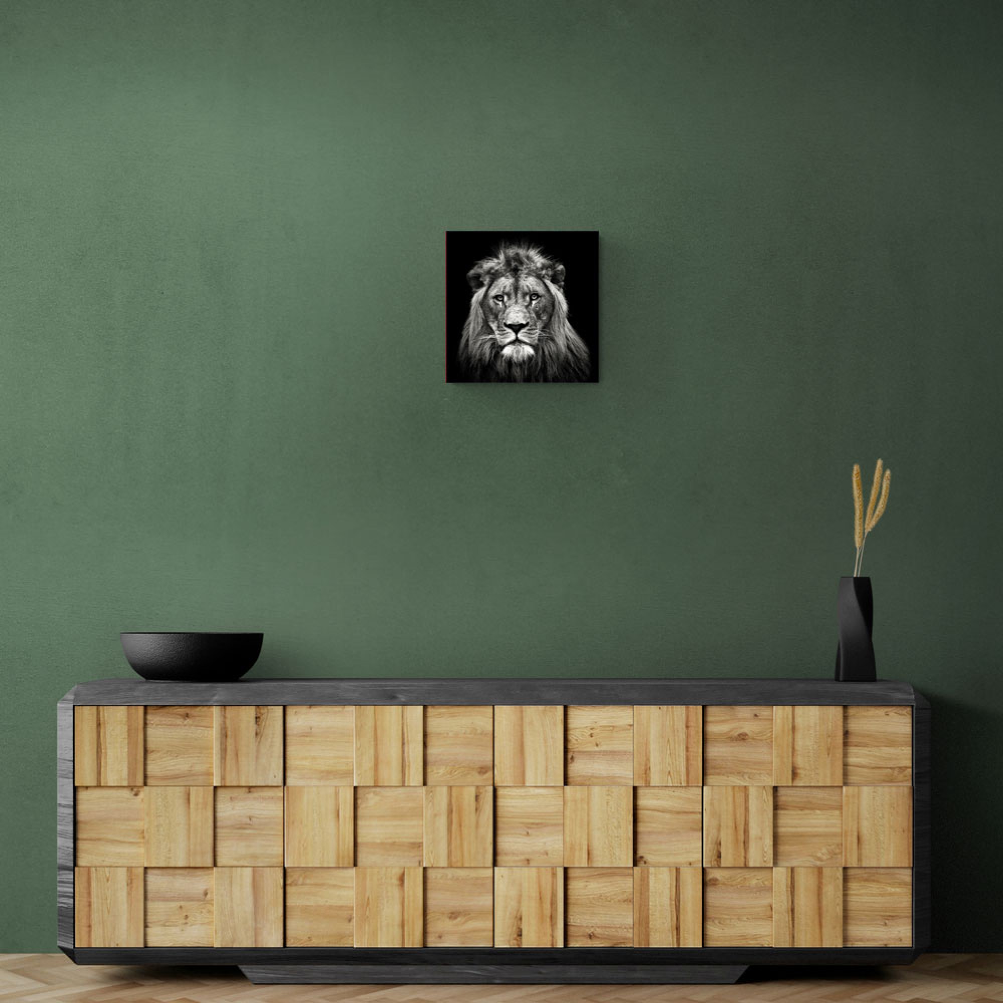 Young Male Lion Wall Art