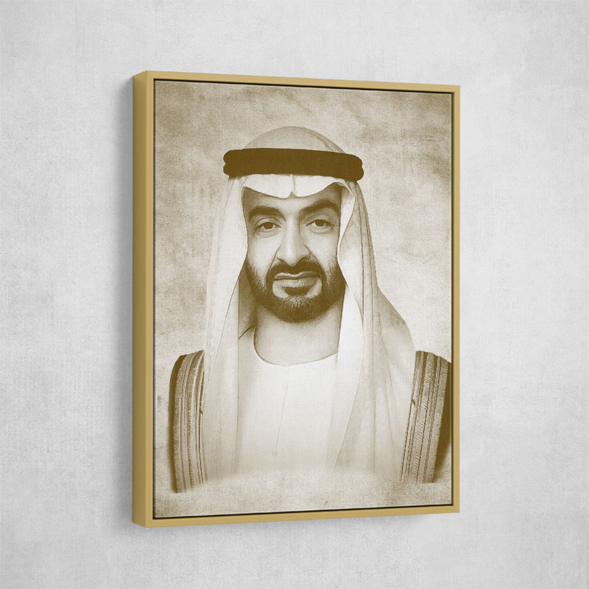 Sheikh Mohammed bin Zayed Al Nahyan Portrait