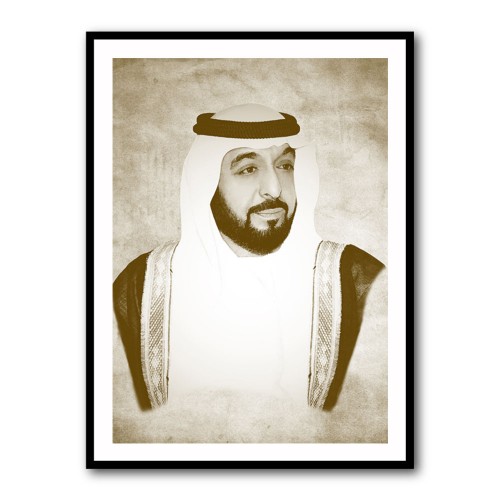 Sheikh Mohammed bin Zayed Al Nahyan Portrait
